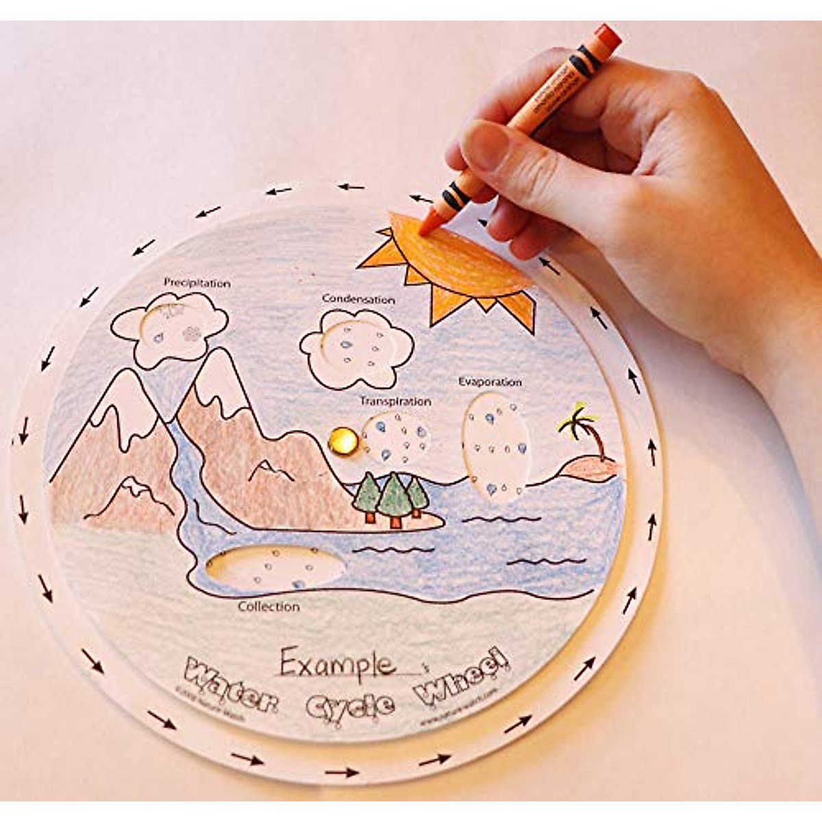 Club SciKidz STEM Box Rainforest Rescue