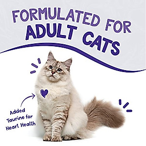 Earthborn Holistic Chicken Fricatssee Grain-Free Moist Cat Food Purple 24 Count (Pack of 1)