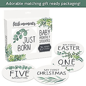 Baby Monthly Stickers | Greenery Botanical Baby Milestone Stickers | Boho Newborn Boy or Girl Stickers | Eucalyptus Month Stickers for Baby Boy | Gender Neutral | Unisex Sage Green Newborn Monthly Milestones (Set of 25)