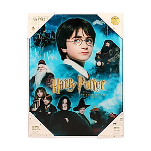 Harry Potter - Impression en Verre - Philosopher's Stone - 30X40 Cm