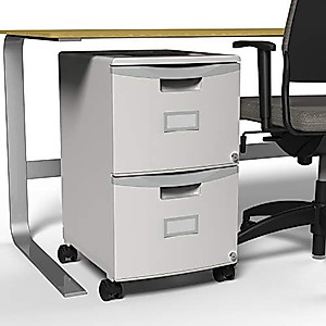 Storex Plastic Two-Drawer File Cabinet – Locking Document Organizer with Casters for Home and Office, Gray, 1-Pack (61310B01C)
