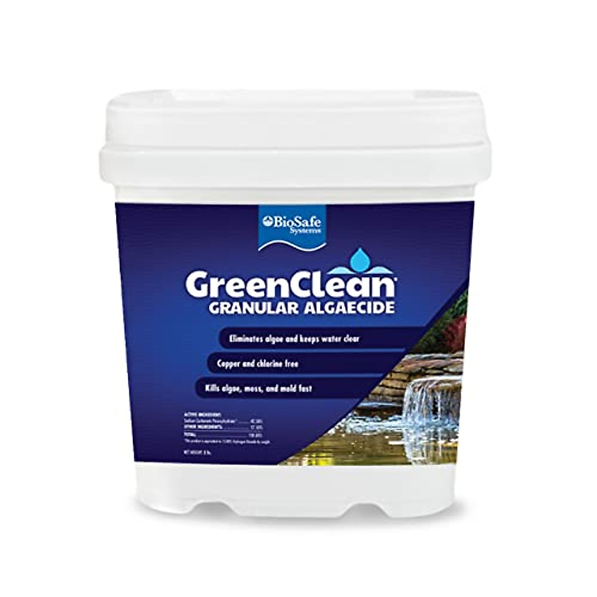 BioSafe Systems 3002-8 GreenClean Granular Algaecide String Algae ...