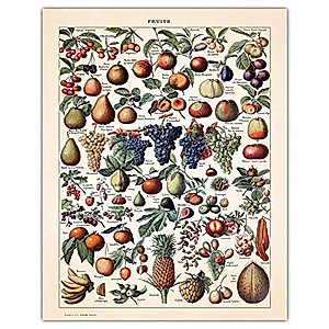 Vintage Fruits Illustration: Farmhouse Kitchen Wall Art Decoration & Decor - 11x14 Unframed Art Print Signs, Aesthetic Pictures & Unique Art Wall Poster Decorations for the Kitchen