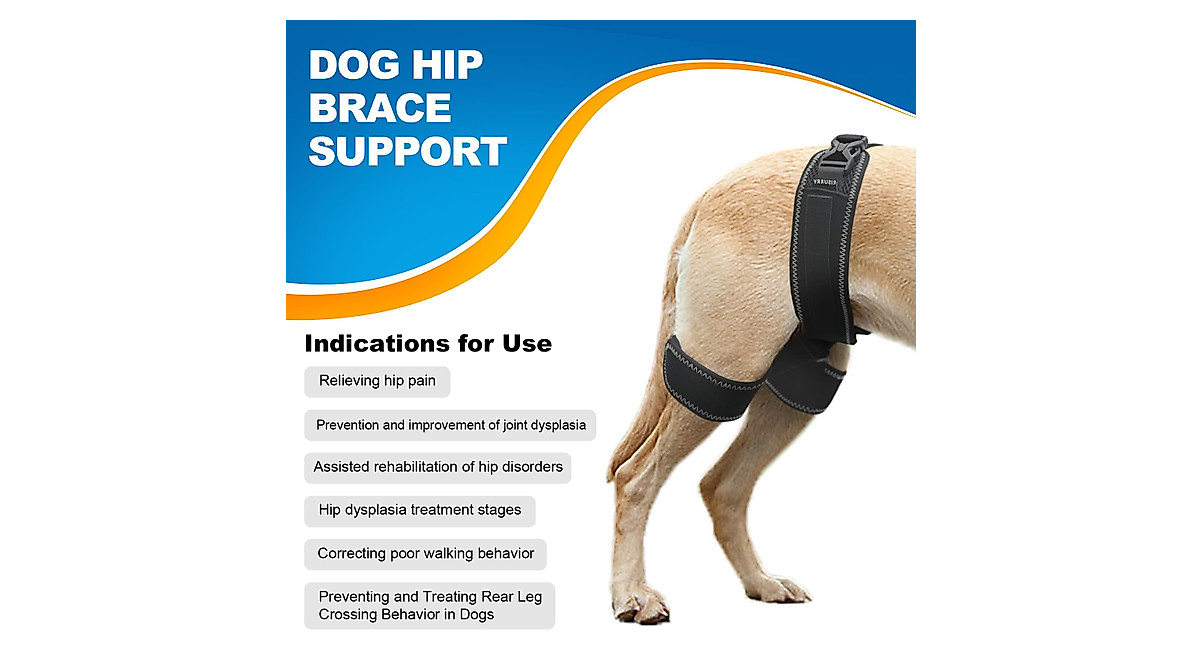 Dog Hip Orthotics Brace for Hip Dysplasia & Pain Relief | CHAMIN