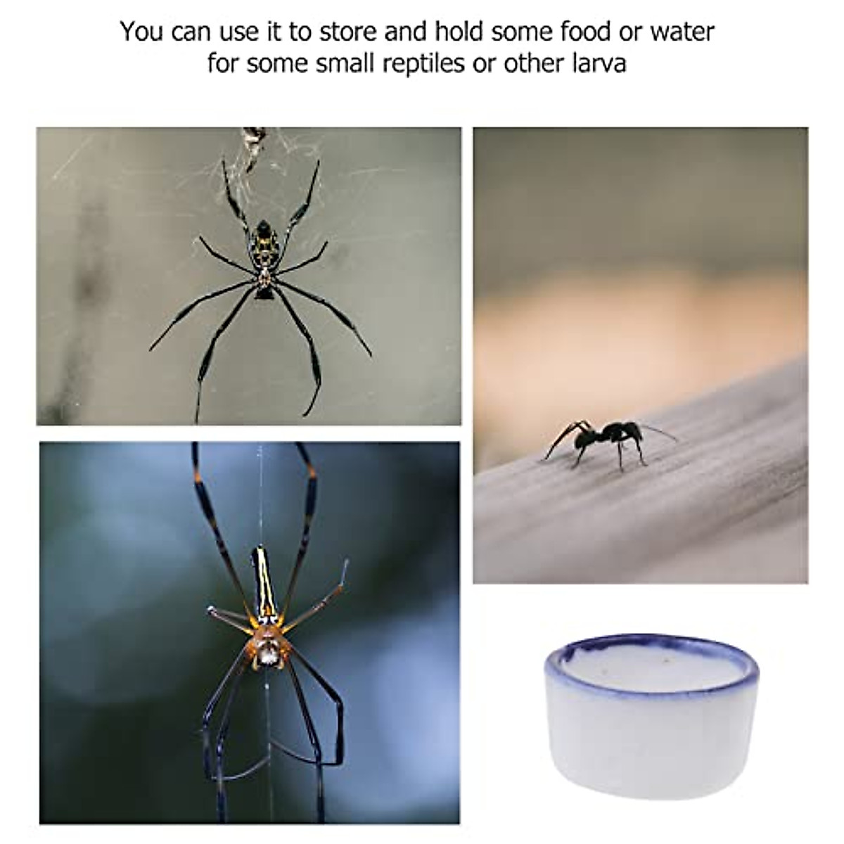 Ipetboom 12pcs Reptile Food Dish Bowl, Worm Dish Ceramic Pet Bowls Terrarium Bowls Reptile Water Sink for Leopard Gecko Bearded Dragon Tank Accessories, 2x2x1cm