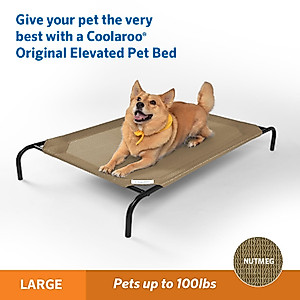Coolaroo The Original Cooling Elevated Dog Bed, Indoor and Outdoor, Large, Nutmeg