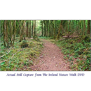 Ireland Nature Walk Treadmill Scenery DVD