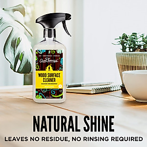 Aunt Fannie's All Purpose Wood Spray Cleaner, 16.9 Ounces, Lemon Scent (Pack of 1)