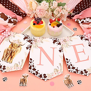 Highland Cow 1st Birthday Decorations Girl - Highland Cow High Chair Banner, Boho Highland Cattle Party Decorations, Pink Holy Cow Im One Farm Animal Birthday Party Decorations