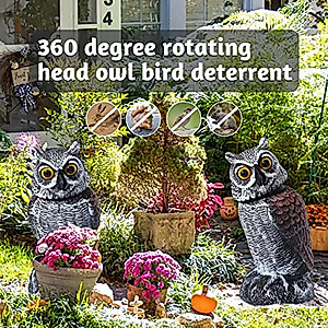 KKY Fake Owl Sculpture Latest 2pc, Revolving Head Plastic Owl for Outdoor Garden.