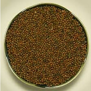 Trophy Rapeseed - 5 lb Bags