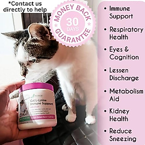 Balanced Breed L-Lysine Cats Immune Support Soft Chews Made in USA Non-GMO Vet-Pharmacist Approved Krill Oil Omega 3 Cat Vitamins Indoor Cats Supplements Asthma Relief Cat Lysine Allergy Relief 60 ct.