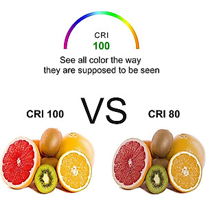 Vinaco PAR20 50W Halogen Bulb, 6 Pack High Output PAR20 Flood Light Bulb, 50W PAR20 Halogen Dimmable, Long Lasting PAR20 50W 120V Warm White 2800K, E26 PAR20 50 Watt Halogen Flood Light