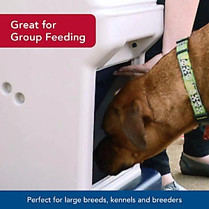 Coastal Pet Bergan Cafe K9 Food Storage - Beige and Navy - 5 gal/25 lbs