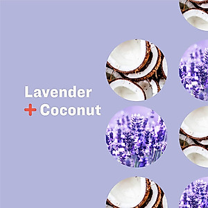 Everyone Liquid Hand Soap Refill, 1 Gallon, Lavender and Coconut, Plant-Based Cleanser with Pure Essential Oils