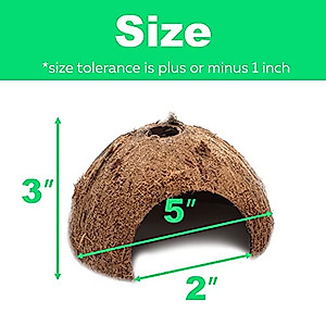 3-Pack Coconut Shell Hideouts for Reptiles Amphibians (Fishes Bearded Dragons Hamster Tortoise Hermit Crab)