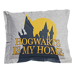 Jay Franco Harry Potter Twin Comforter Set, Gray