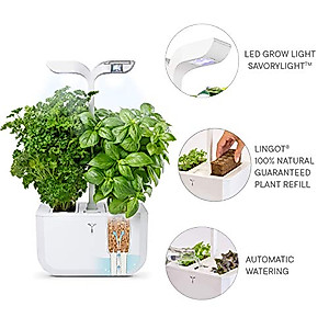 Véritable® EXKY Classic (White) - Indoor Vegetable Garden Made in France - Smart Autonomous Garden Delivered with 2 Lingots®