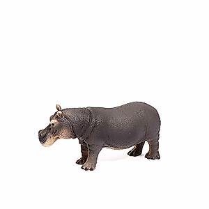 Schleich Wild Life Realistic Detailed Hippopotamus Figurine - Wild Hippo Figurine Toy for Play and Education, Highly Durable and Detailed, for Boys and Girls, Gift for Kids Ages 3+