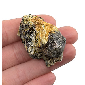 EISCO 12PK Raw Garnet Schist, Metamorphic Rock Specimens - Approx. 1" - Geologist Selected & Hand Processed - Great for Science Classrooms - Class Pack