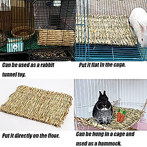 Tfwadmx Rabbit Grass Mat,16.5''x11'' Large Natural Woven Seagrass Mat Bunny Bed Chew Mat Sleep for Chinchillas Guinea Pigs Ferret Guinea-Pig and Small Animals -2 Pcs