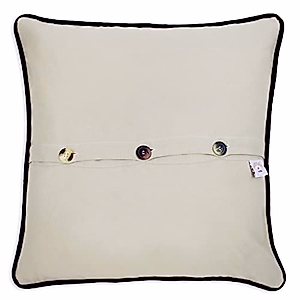 Catstudio Pittsburgh Embroidered Decorative Throw Pillow