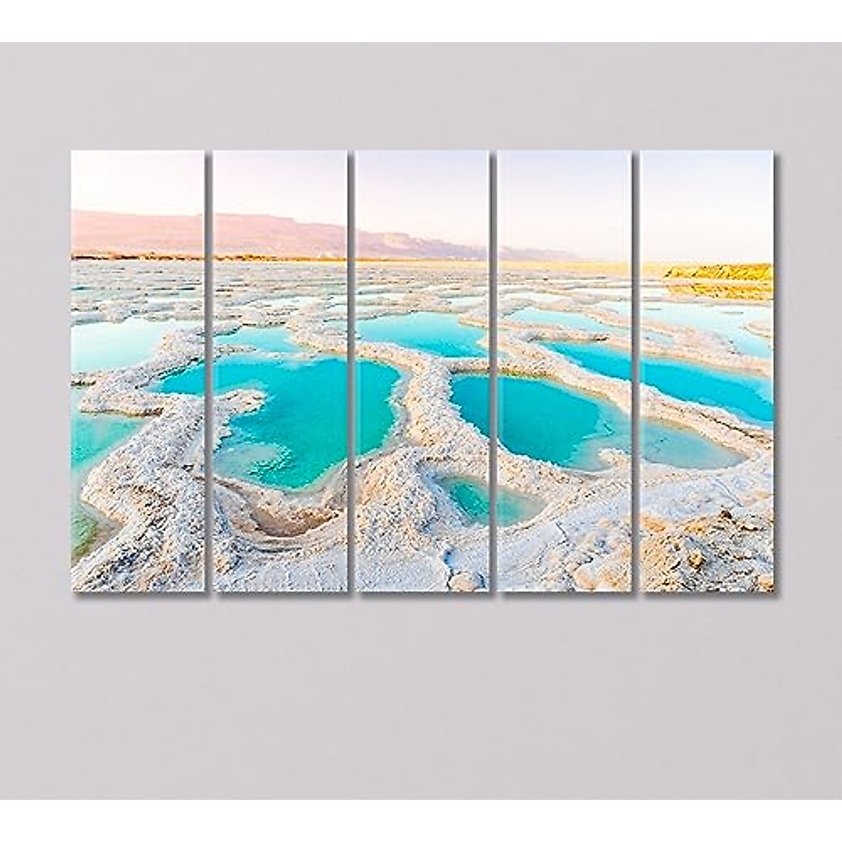Dead Sea Coast Canvas Print 1 Panel / 36x24 inches