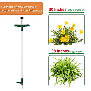 Walensee Stand Up Weeder and Weed Puller, Stand up Manual Weeder Hand Tool with 3 Claws, Stainless Steel and High Strength Foot Pedal, Weed Puller (Combo Pack - Stand Up Weeder & Hand Weeder)