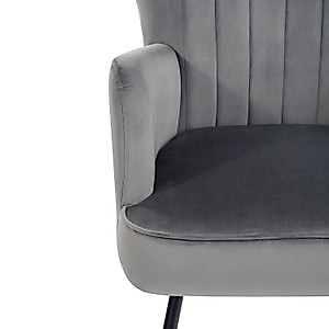 FurniutreR Accent, Modern and Elegant Armchair, Velvet Fabric Metal Black Gold Legs and High Back for Living Bedroom Office Waiting Room Leisure Chair, Grey