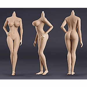 HiPlay JIAOUDOLL 1/6 Scale 12 inch Female Super Flexible Seamless Figure Body, European Body Type, Skin Tone Selectable, Minature Collectible Action Figures (Pink (Ruddy Skin Tone))