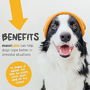 maxxipaws maxxicalm Natural Calming Supplement for Dogs - 120 Non-Drowsy Tablets