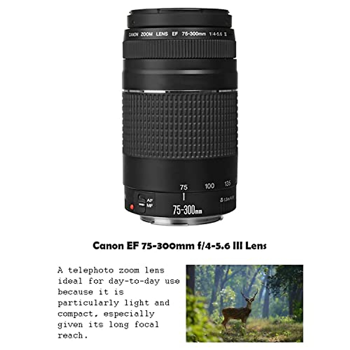 Paging Zone 850D (Rebel T8i) DSLR Camera Bundle with EF-S 18-55mm f/4-5.6 is STM Lens + EF 75-300mm f/4-5.6 III Lens + 2pc SanDisk 32GB Memory Cards + Professional Kit