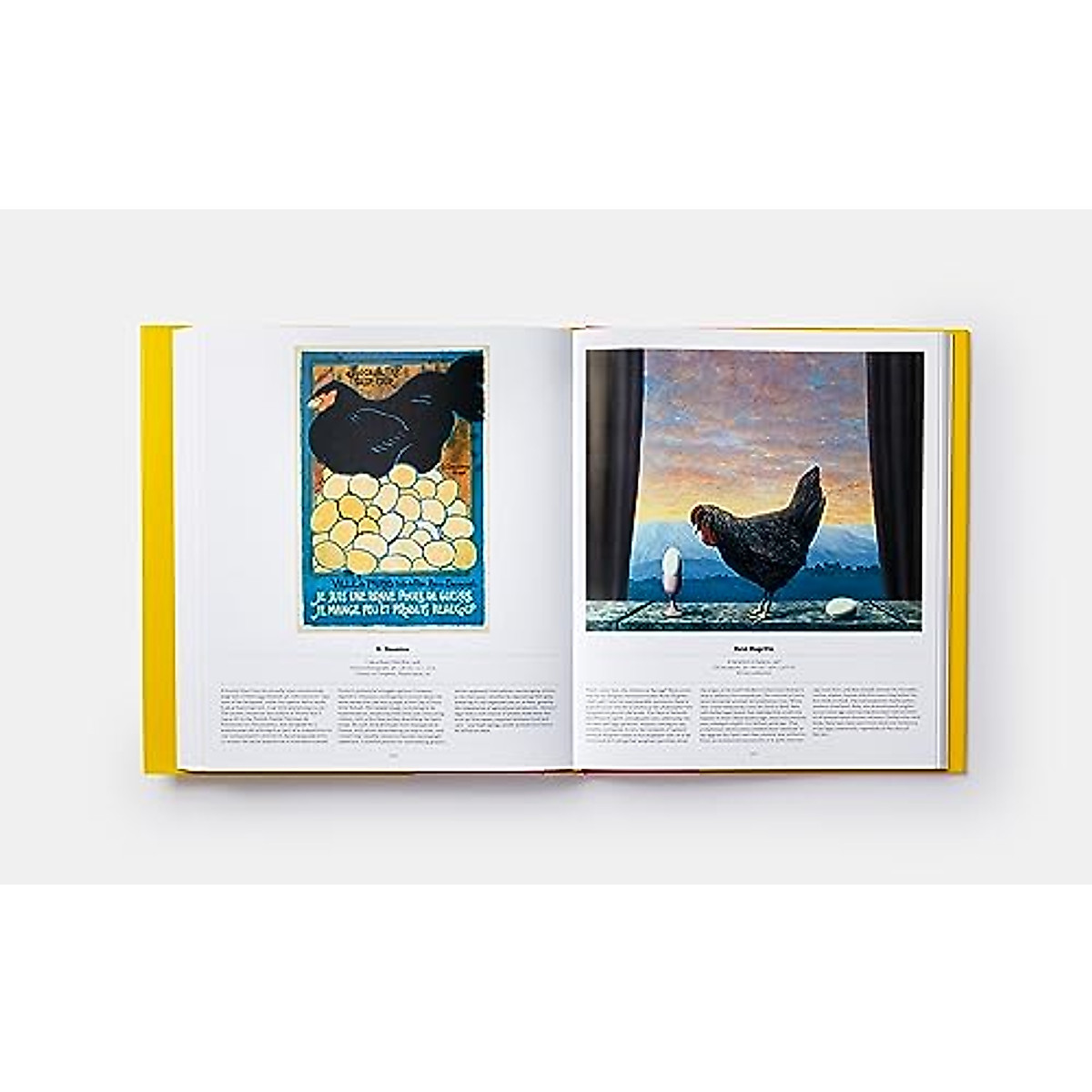 Bird: Exploring the Winged World