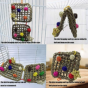 Bird Foraging Wall Toy Natural Seagrass Woven Parrot Activity Wall Hanging Hammock Cage Intelligence Chew Toy with Colorful Rattan Balls for Small Parrot Parakeet Conure Cockatoo Budgie Lovebird