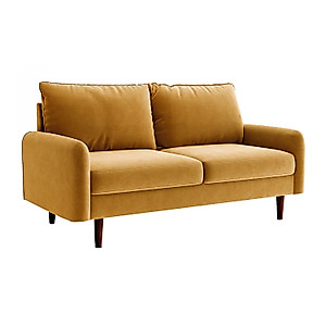 WANSE 56 inch Velvet Loveseat Sofa,Ginger Velvet Couch for Living Room, Couch with Solid Wood Frame, Easy Assembly, Couches for Living Room, Guest Room, Teenager's Room, and Small Apartment