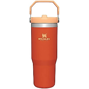 Stanley IceFlow Stainless Steel Tumbler with Straw - Vacuum Insulated Water Bottle for Home, Office or Car - Reusable Cup with Straw Leakproof Flip - Cold for 12 Hours or Iced for 2 Days (Tigerlily)