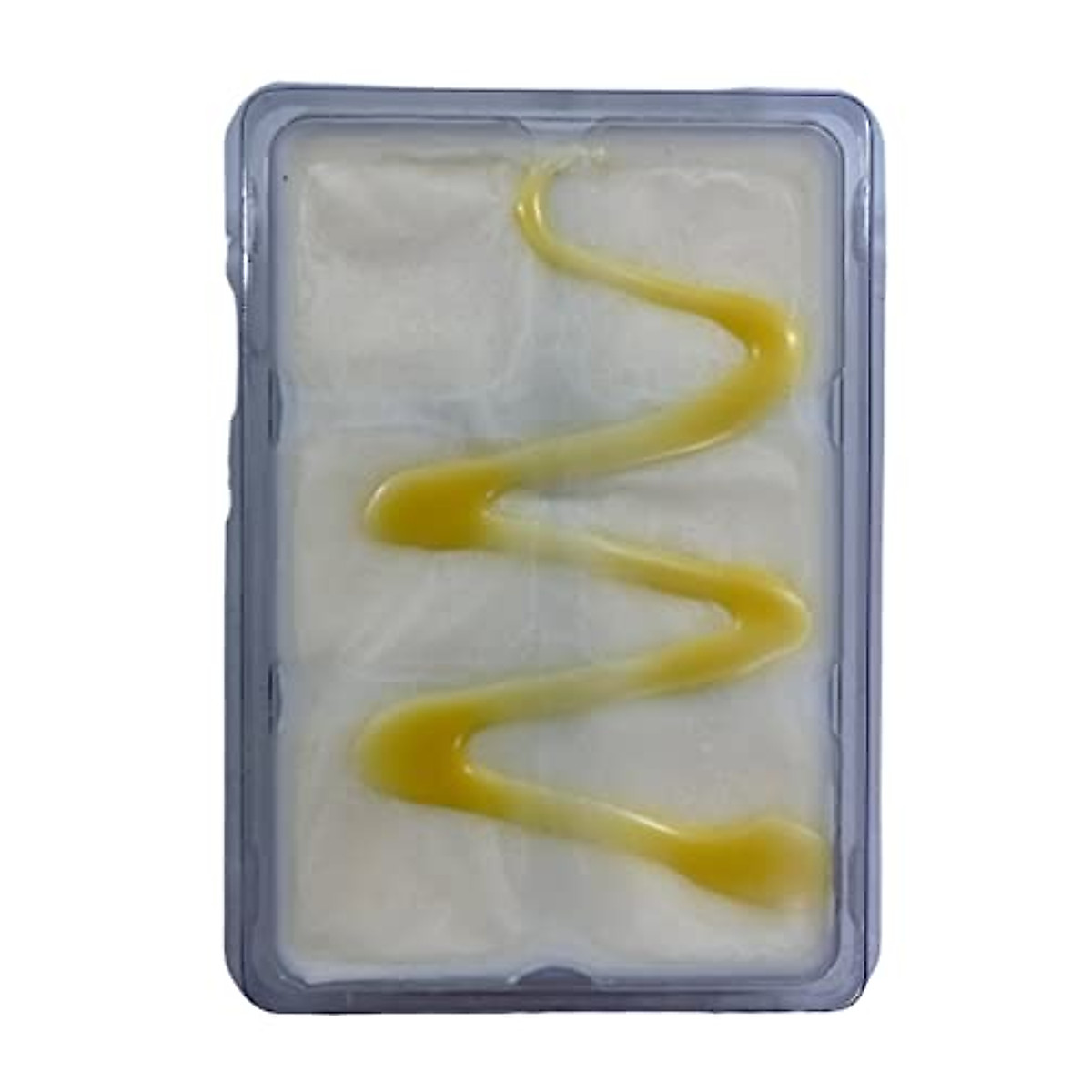 Swan Creek Drizzle Melt Creamy Coconut Vanilla