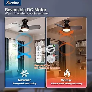 Amico Ceiling Fans with Lights, 30 inch Low Profile Ceiling fan with Light and Remote Control, Flush Mount, Reversible, 3CCT, Dimmable, Noiseless, Black Ceiling Fan for Bedroom, Indoor/Outdoor Use