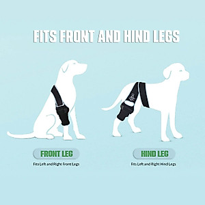 Dog Knee Brace (SMALL) Dog Knee Brace for Torn ACL Hind Leg - Dog Knee Brace Promotes Faster Recovery - Extra Supportive Dog Leg Brace with 10x Stabilizers & Longer Straps for an Anti-Slip Comfort Fit