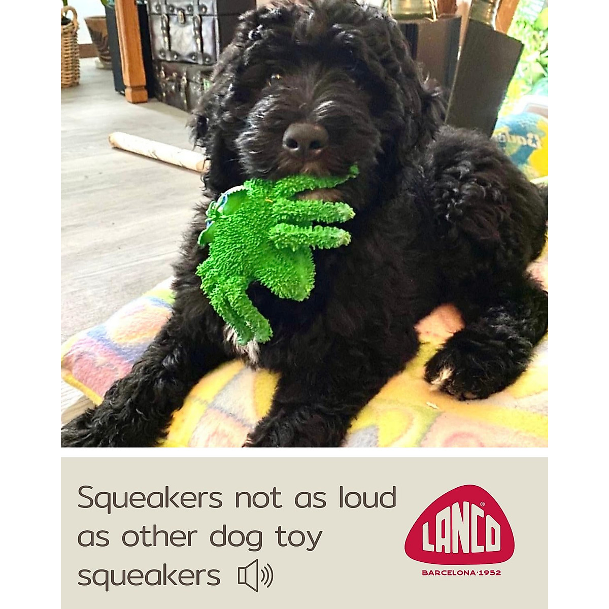 Sensory Spider - Squeaky Dog Toys - Medium Breeds - Natural Rubber/Latex - Comply with Same Safety Standards as Baby Toys