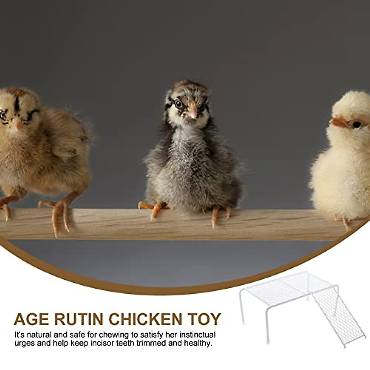 PATKAW Hamster Cage Platform Stainless Steel Rutin Chicken Rack Wire Chicken Coop Platform with Climbing Ladder for Mouses Rat Gerbil Dwarf Hamster