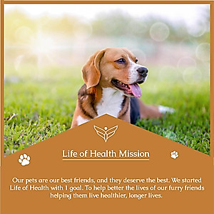 Natural Yeast Infection Treatment for Dogs | Supports Healthy Itch Relief, Inflammation Relief, Allergy Relief & More | Dog Yeast Ear Infection Treatment | Dog Itch Relief | Dog Allergy Relief