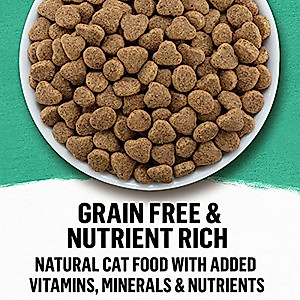 Purina Beyond Grain Free, Natural Dry Cat Food, Simply Grain Free Wild Caught Whitefish & Cage Free Egg Recipe - 11 lb. Bag