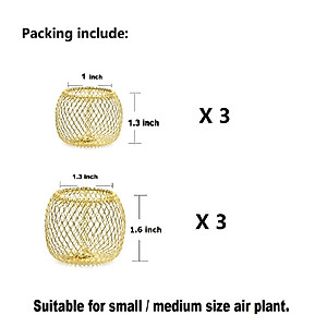 Newwe 6 x Gold Air Plant Holders Metal Airplant Pot Air Plants Planter Tillandsia Display for Home Office