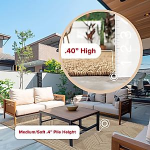 nuLOOM Ranya Tribal Indoor/Outdoor Area Rug, 4x5, Light Brown