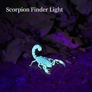 TNATRA UV 365nm and 395nm Flashlight, UV Blacklight for UV Glue Curing,Rocks & Minerals Hunting,Pet Stain Detector&Scorpion Finder, Dry Stain, Portable&Zoomable LED Ultraviolet Flashlight