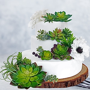 Winlyn 15 Pcs Artificial Succulents Unpotted Bulk Small Faux Succulent Plants Hanging Succulents Hops Aloe for Succulent Garden Wreath Floral Arrangement Indoor Outdoor Green Decor