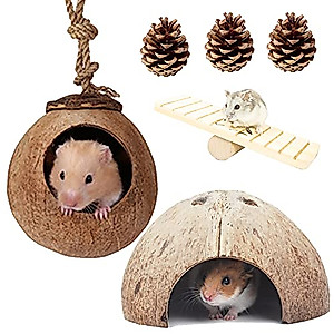 PINVNBY Coconut Hut Hamster Hiding House Hanging Coconut Shells Pet Cave Hideout Small Animal Cage Habitat Decor for Gerbils Rats Mice Dwarf Syrian Hamster Playing & Resting (6 PCS) 