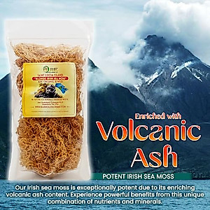 BUIE HOLISTIC HERBS Golden Irish Sea Moss, Pure Wildcrafted, Nutrient-Rich, Dr. Sebi Inspired - Makes 120+ oz Gel | Pure & Natural Raw Gold Irish Sun - Dried Sea Moss for Health & Wellness / (8 oz)