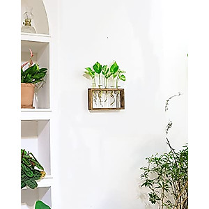 Ivolador Wall Mounted Hanging Plants Terrarium Test Tube Flower Bud Tabletop Glass Wooden Stand with 5 Test Tube Perfect for Propagating Hydroponic Plants Home Garden Wedding Decoration